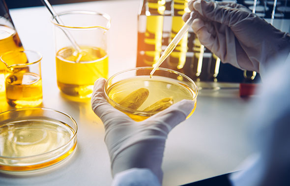 Isolation, identification and antibiogram profiling of bacteria ...
